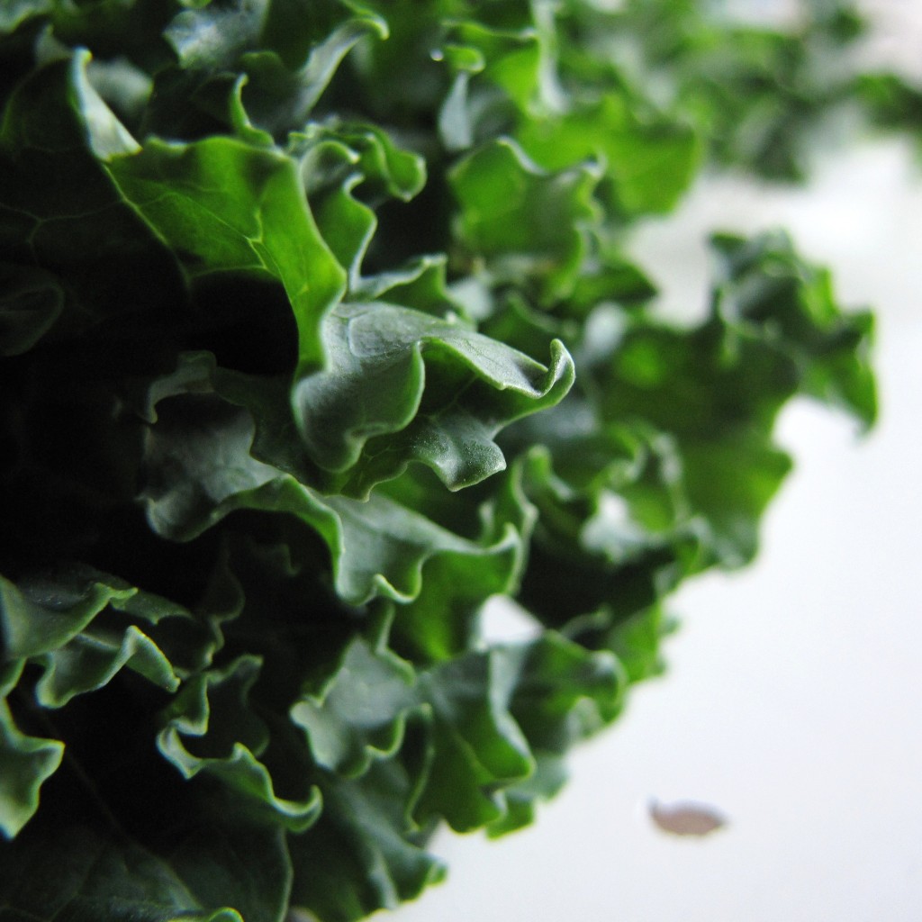 Kale Recovery - Katie at the Kitchen Door