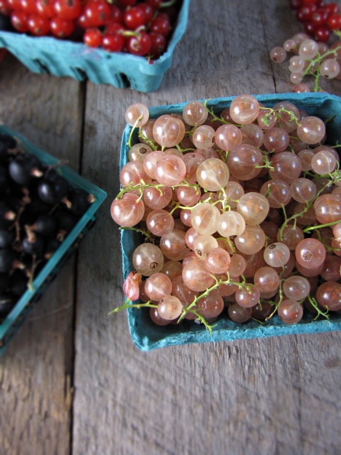 Red Currants, Two Ways - Katie at the Kitchen Door