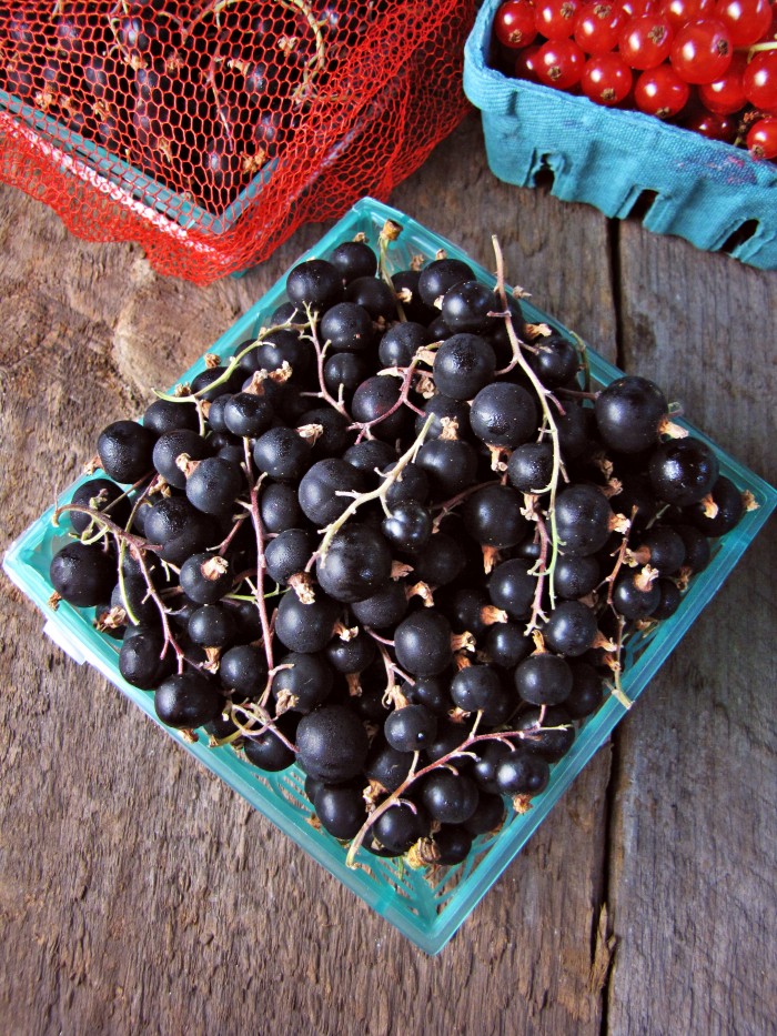 Homemade Cassis - Katie at the Kitchen Door