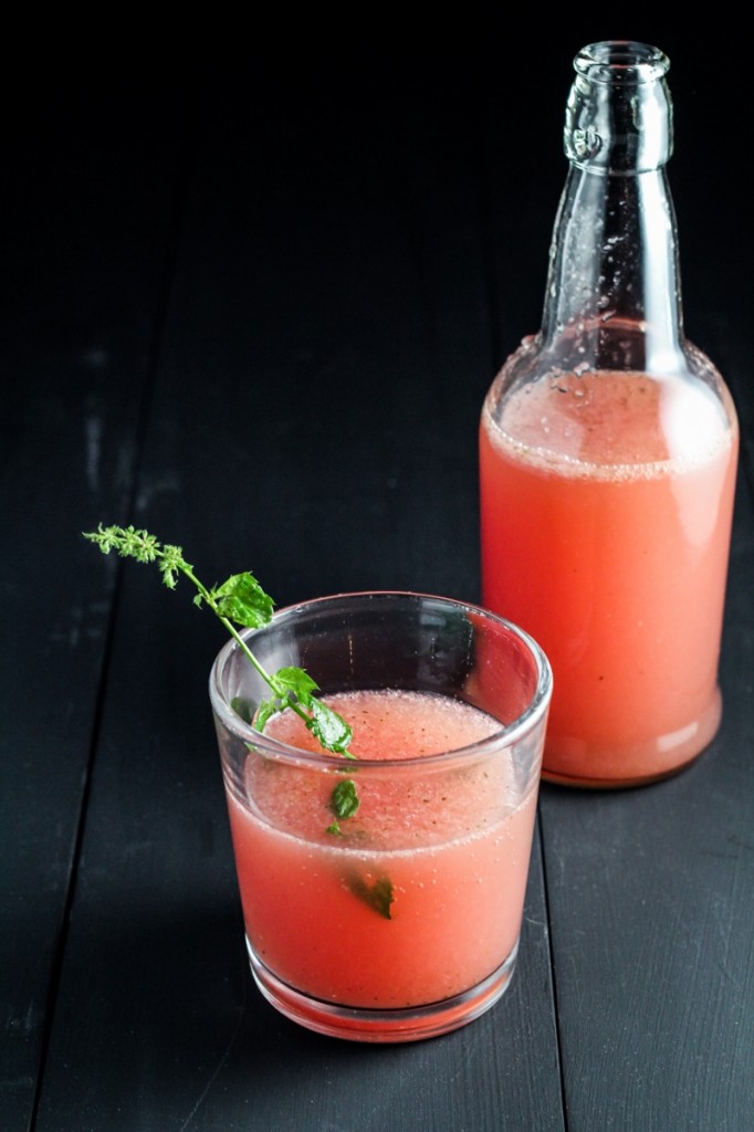 Book Club: True Brews // Blackberry Wine, Homemade Sake, and Watermelon ...